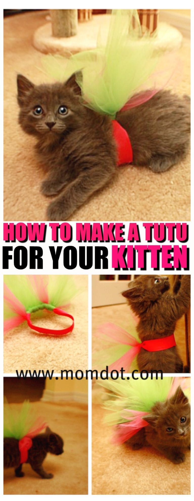How to make a tutu…for your kitten. - Momdot.com