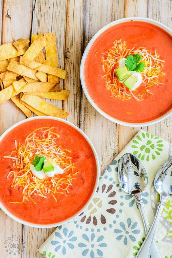Salsa Soup Recipe