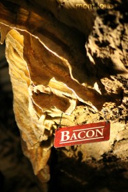 Spectacular Waterfall Underground