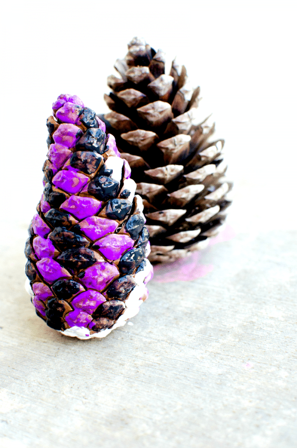 Preschool Friendly Pine Cone Craft: Fall Fun! - Momdot.com
