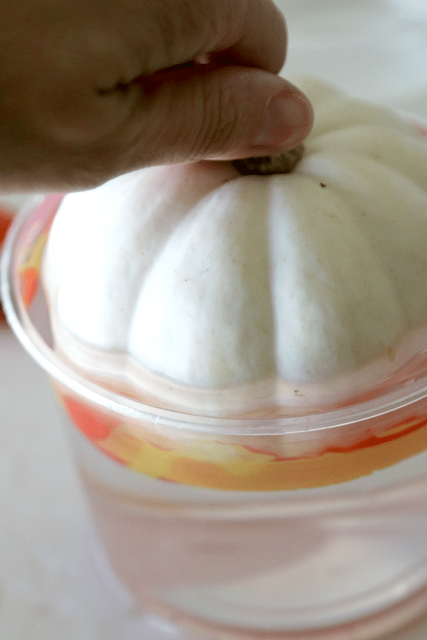 How To Make Marbled Pumpkins (So GORGEOUS for Fall!) - MomDot