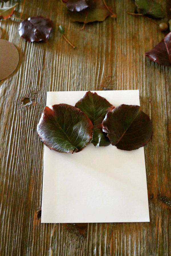 Fall Leaf Turkey Craft for Kids (and Cards!)