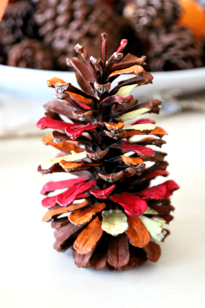 Make a Pinecone Turkey Craft with our FREE Printable! - MomDot