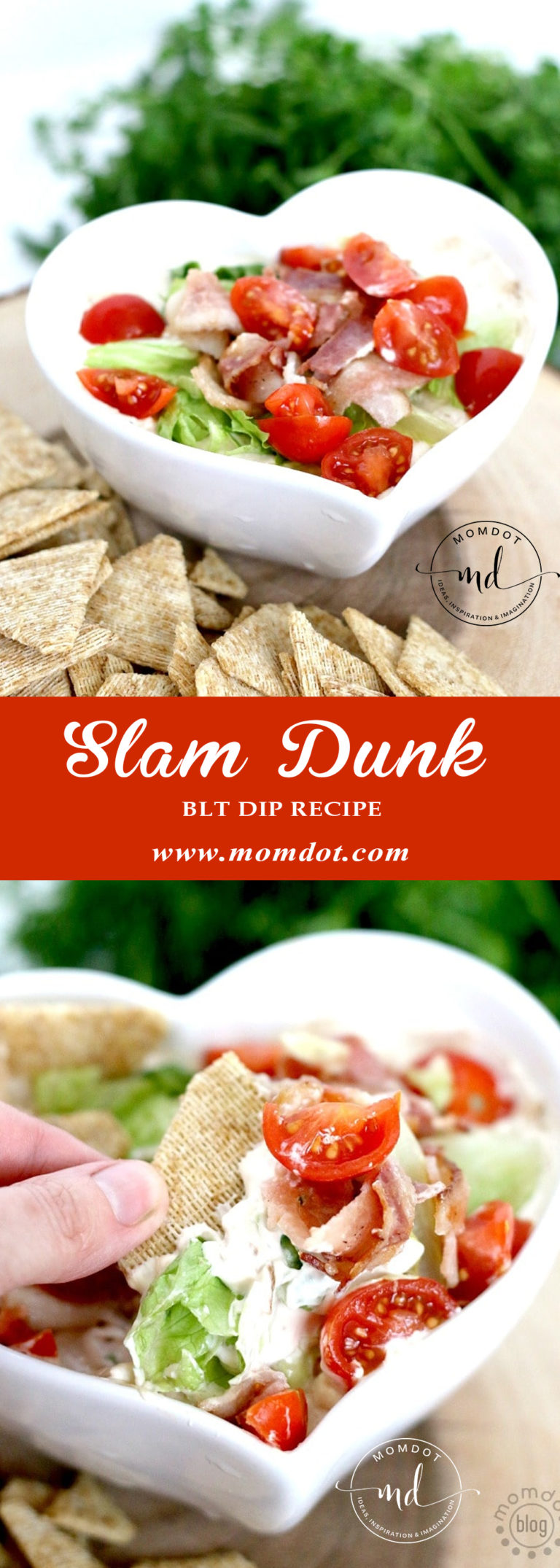 Slam Dunk BLT Dip Recipe