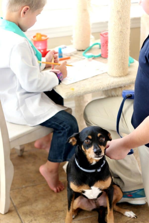 Free Printable: Vet Office Pretend Play Sheet