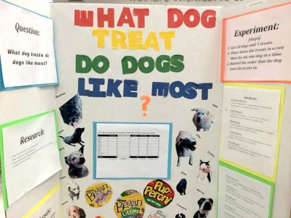 75+ FANTASTIC Science Fair Project Ideas! MomDot