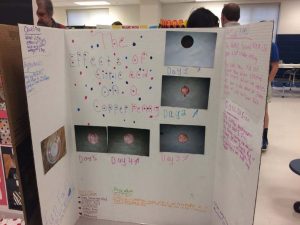 75+ FANTASTIC Science Fair Project Ideas! MomDot