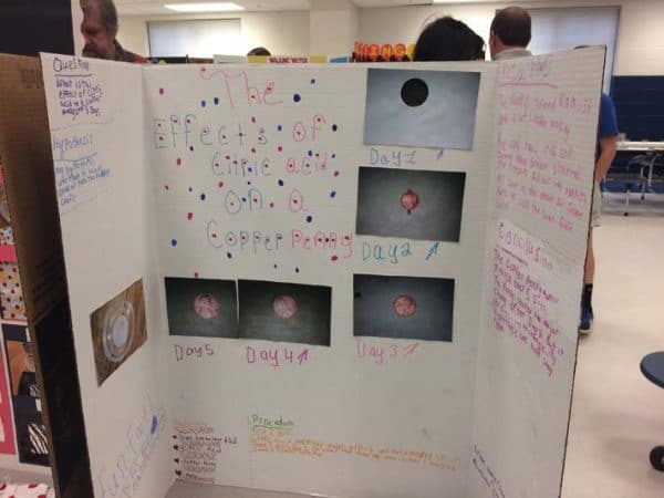 75+ FANTASTIC Science Fair Project Ideas! MomDot
