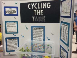 75+ FANTASTIC Science Fair Project Ideas! MomDot