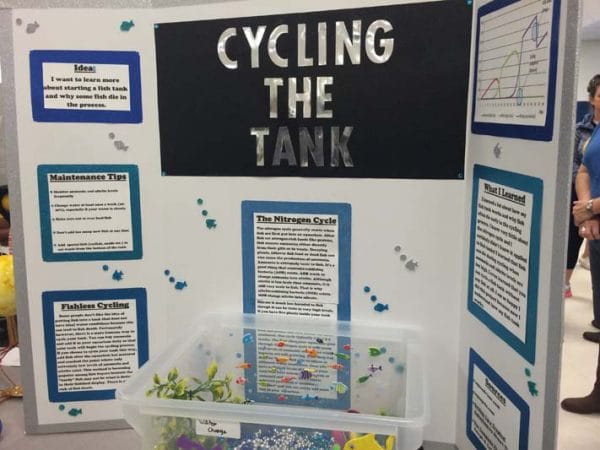 75+ FANTASTIC Science Fair Project Ideas! MomDot