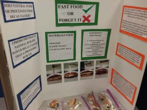 75+ Science Fair Project Ideas to WOW Students - MomDot