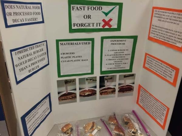 75+ FANTASTIC Science Fair Project Ideas! MomDot