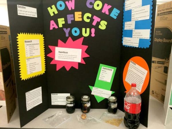 75+ FANTASTIC Science Fair Project Ideas! MomDot