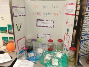 75+ FANTASTIC Science Fair Project Ideas! MomDot
