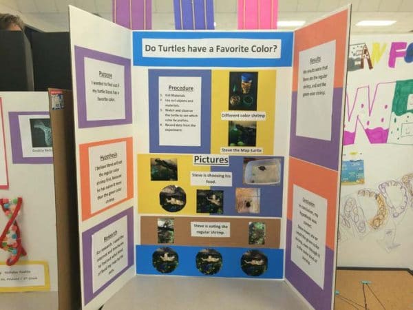 75+ FANTASTIC Science Fair Project Ideas! MomDot