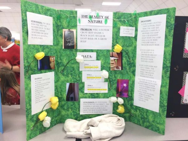 75+ FANTASTIC Science Fair Project Ideas! MomDot