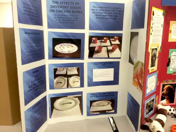 75+ FANTASTIC Science Fair Project Ideas! MomDot