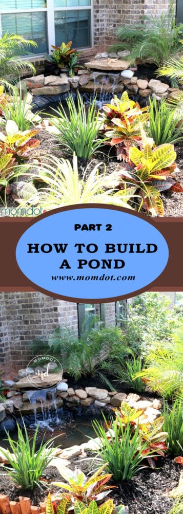 Build a Pond DIY