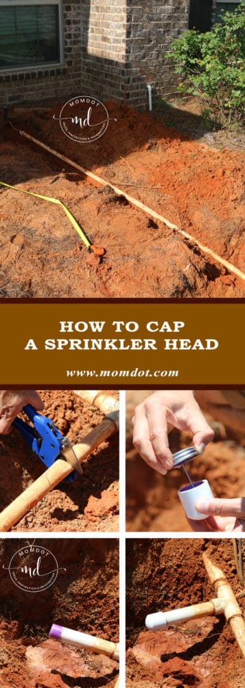 How to cap a Sprinkler head DIY - Momdot.com