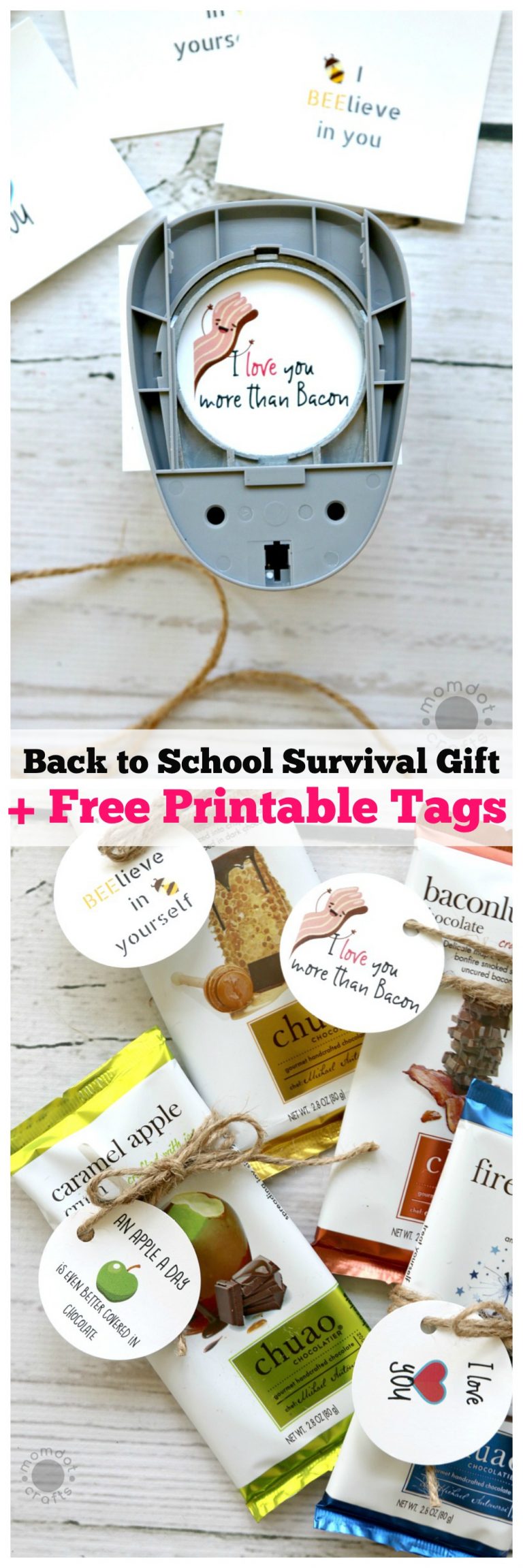 Back to School Gift + Free Printable Tags - Momdot.com