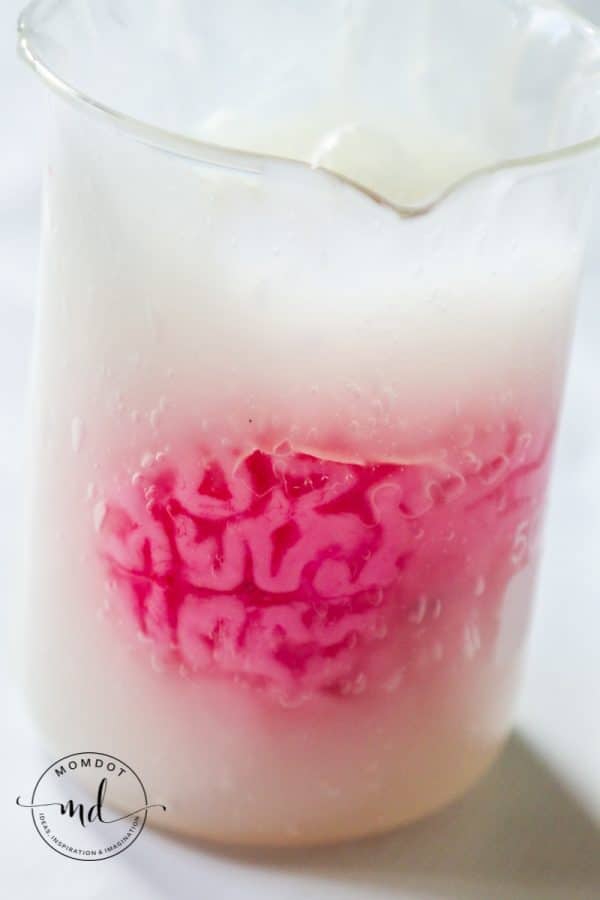 Brain Dead Slime Starch DIY : Homemade Halloween Slime with No Borax