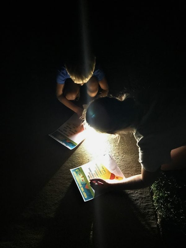 Nighttime Scavenger Hunt with Flashlight plus Free Printable - Momdot.com