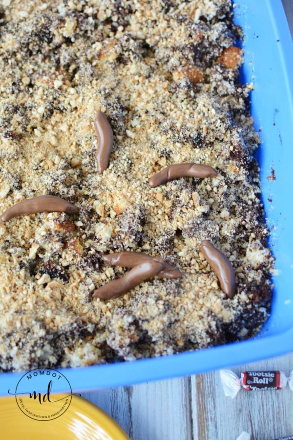 Kitty Litter Cake - Cat Litter Cake Looks GROSS & Tastes YUM! - MomDot