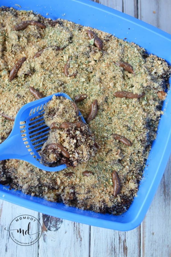 Kitty Litter Cake - Cat Litter Cake Looks GROSS & Tastes YUM! - MomDot