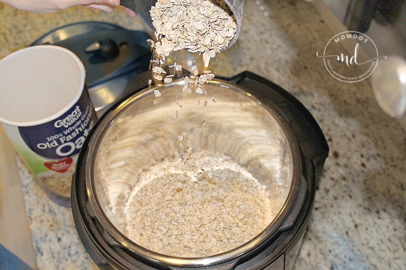 10 Easy Instant Pot Oatmeal Recipes: Easy Breakfast & More