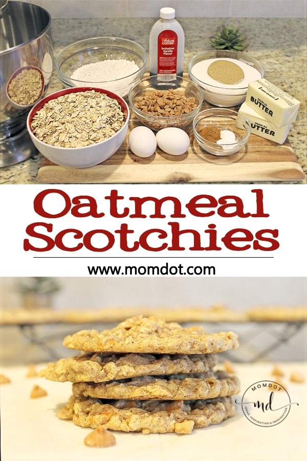 Oatmeal Scotchies: A Cookie Recipe Your Family Will Love